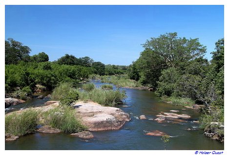 Kruger Nationalpark, Kruger National Park, Big 5, Safari, Skukuza Camp,
