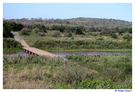 Hluhluwe-Umfolozi-Park, Hluhluwe-Imfolozi-Park, Mpila Camp, Blck ...